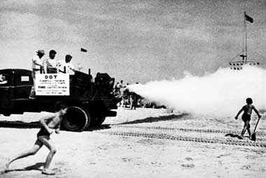 A Brief History Of Pest Control | Raven Termite & Pest Control